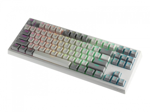 Tecware Phantom+ Elite 87 RGB Mechanical Keyboard (White) w/ Wraith ...